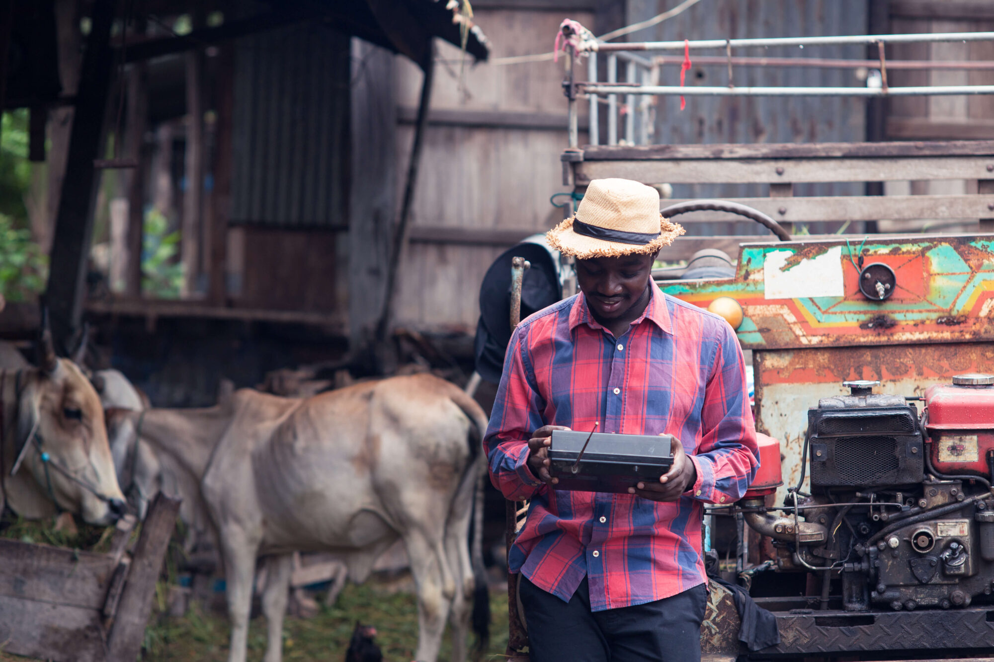 Clients Deserve to Know: Using Radio to Educate and Empower Consumers ...