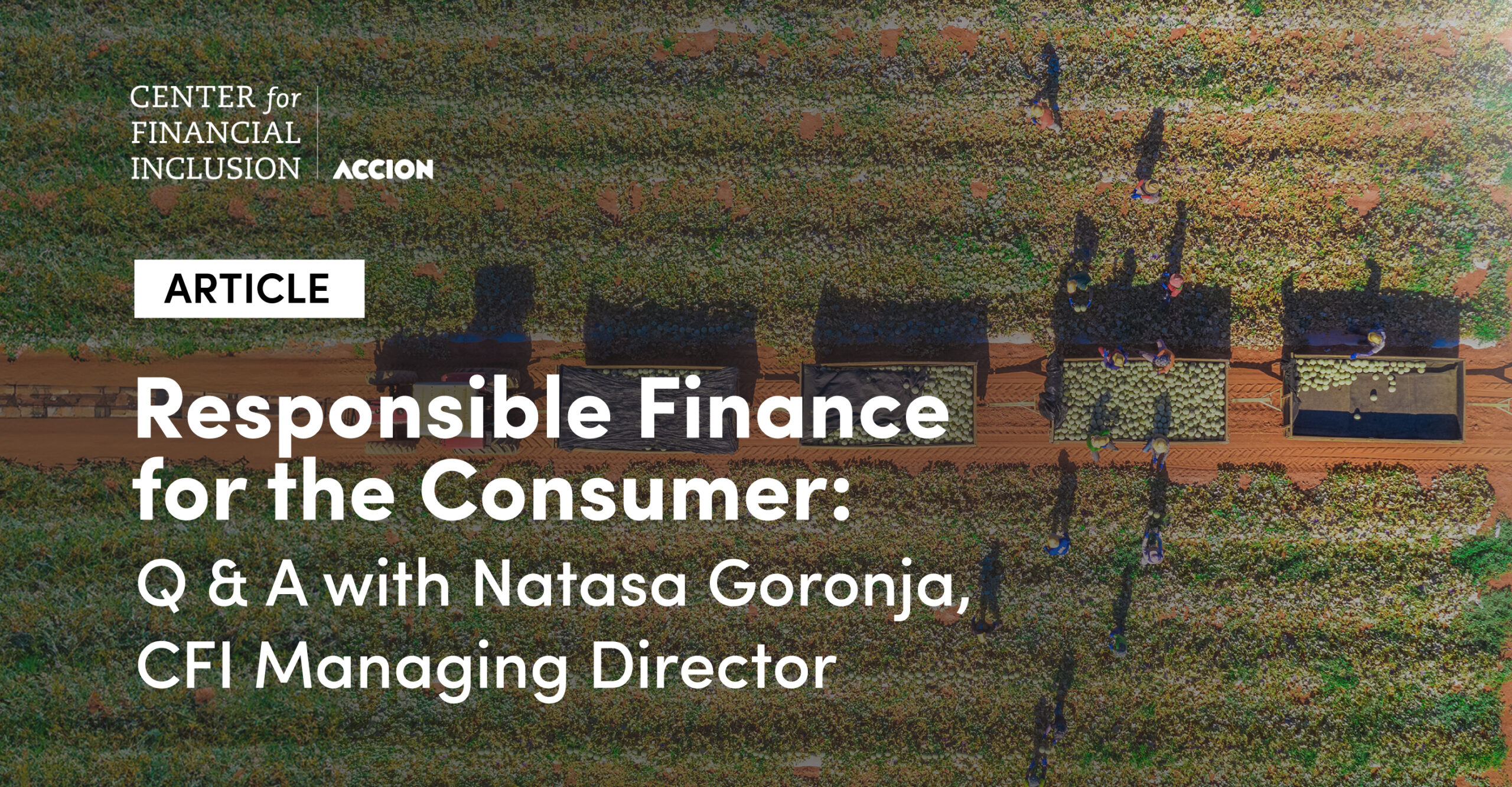 Responsible Finance for the Consumer: Q & A with Nataša Goronja, CFI ...