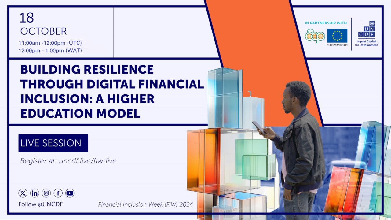 Building Resilience Through Digital Financial Inclusion: A Higher ...