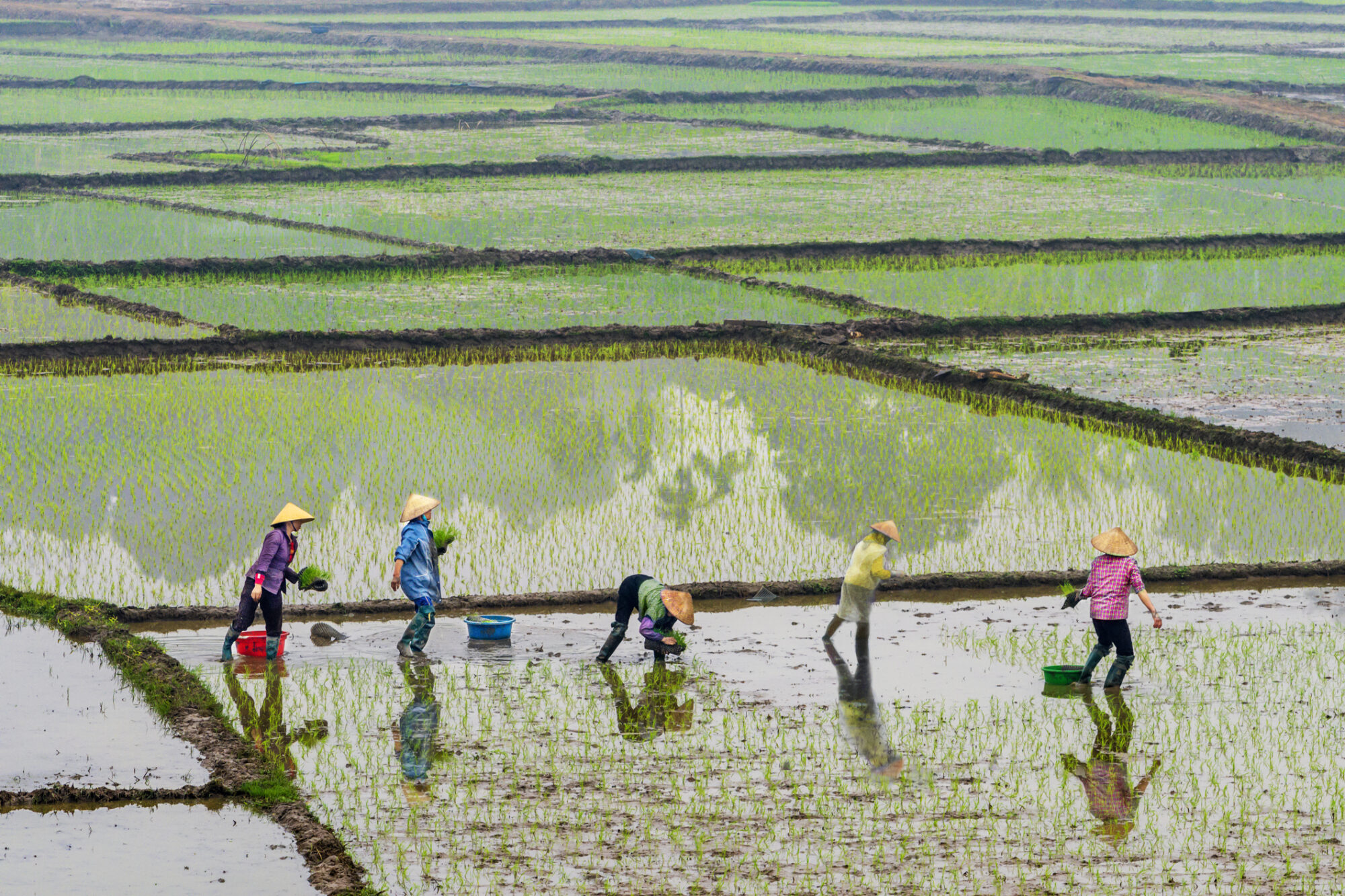 The Role of Access to Finance in Reducing Vulnerabilities - Center for ...