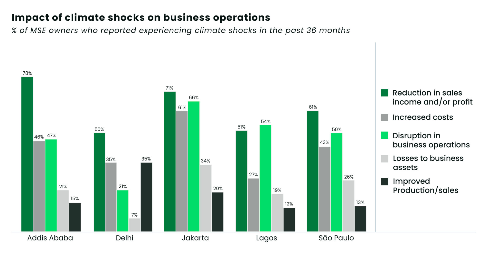 When MSEs Invest in Climate Adaptation and Why It Matters for Financial ...